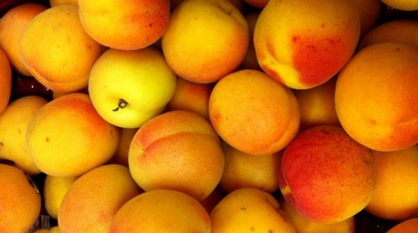 La fruta del amor - HechizosDeAmor.top